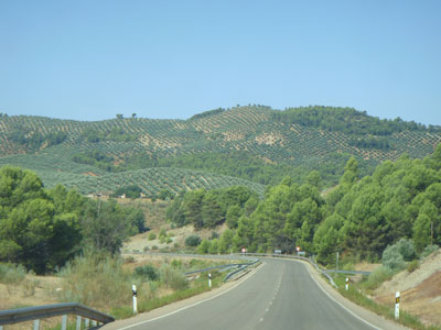 Parque Natural de Cazorla